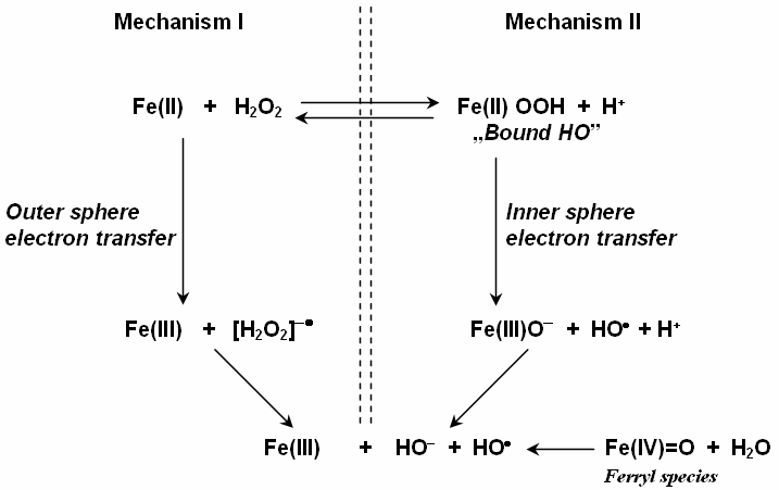 What is the actual mechanism of Fenton reaction? - ECHEMI