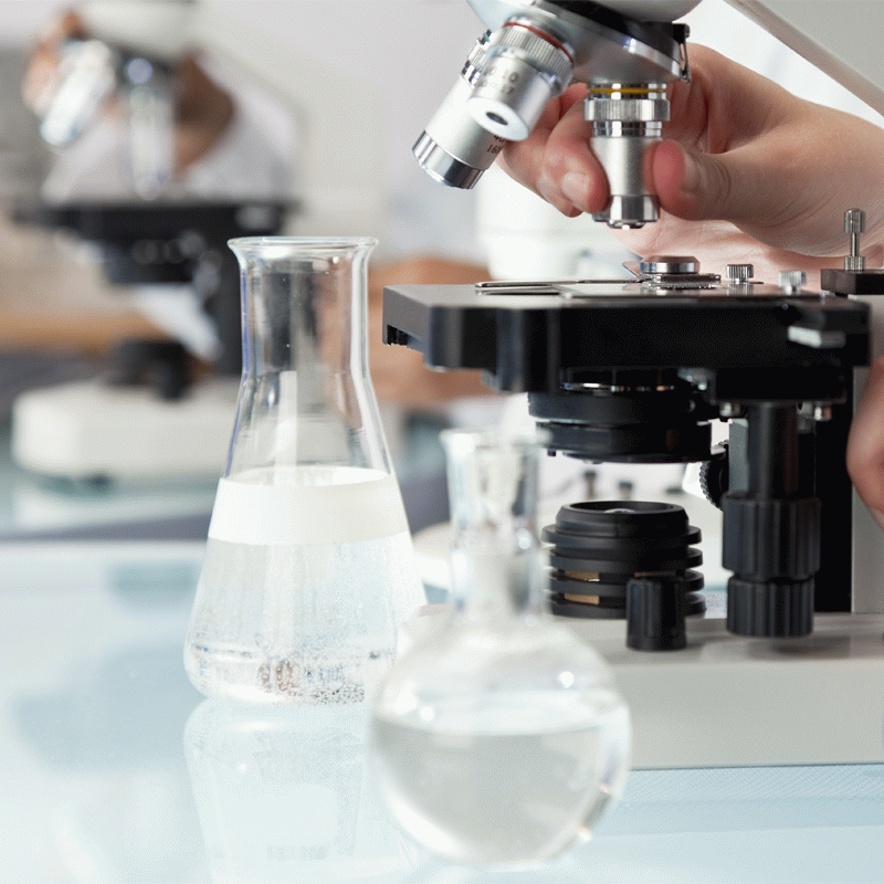 Buy beta -Glucuronidase Escherichia coli from Conier Chem&Pharma ...