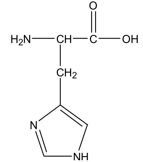 Histidine At Ph 7