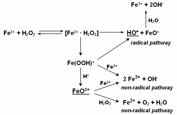 What is the actual mechanism of Fenton reaction? - ECHEMI