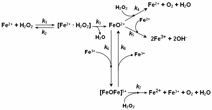 What is the actual mechanism of Fenton reaction? - ECHEMI