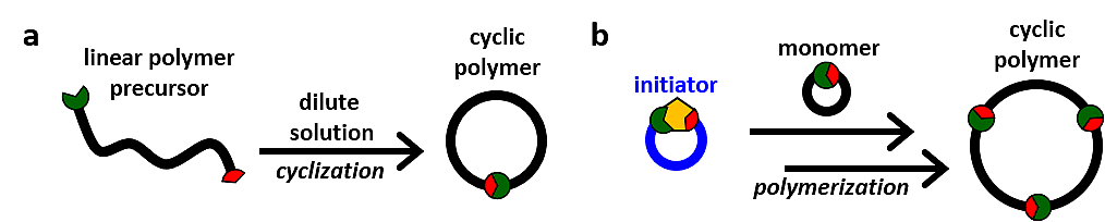 The synthesis, properties and potential applications of cyclic polymers ...