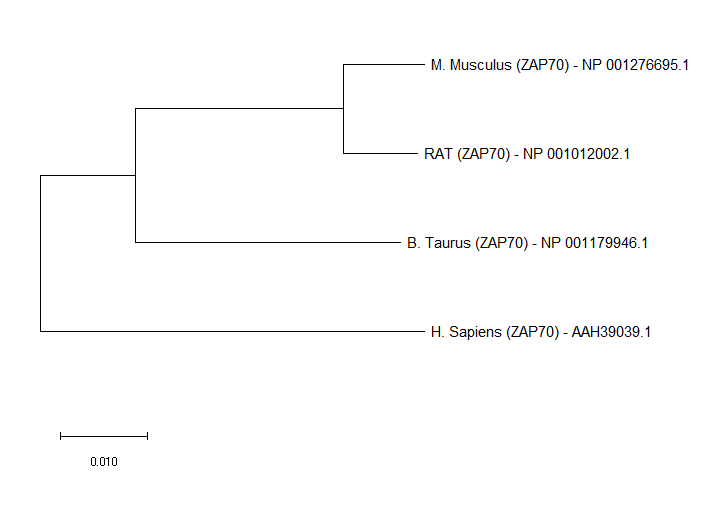 What is outliers and how to determine outliers in the following ...