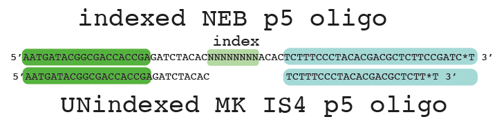 What i5 index should I use on the Illumina sample sheet for an unindexed p5 primer? - ECHEMI