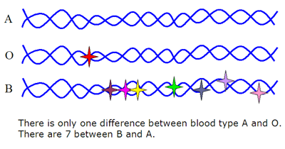 ABO blood type mismatch - ECHEMI