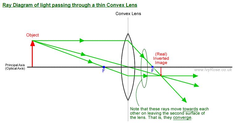 What is the advantage of the inverted image on the retina? - ECHEMI