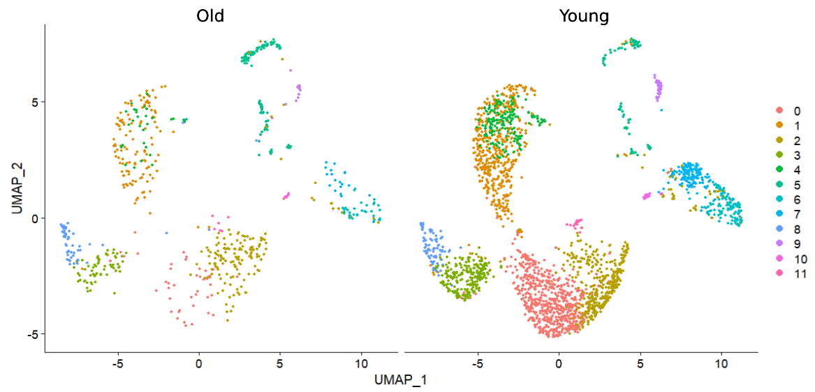 Data augmentation for imbalanced scRNA-seq samples - ECHEMI Data augmentation for imbalanced scRNA-seq samples - ECHEMI