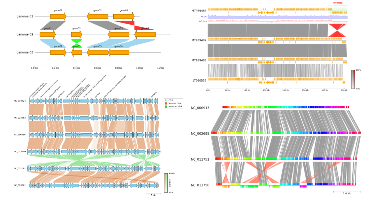 Pygenomeviz A Genome Visualization Python Package For Comparative Genomics Echemi