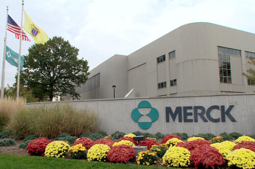 Mercks ADC hunt continues with second deal for China biotech Kelun - ECHEMI