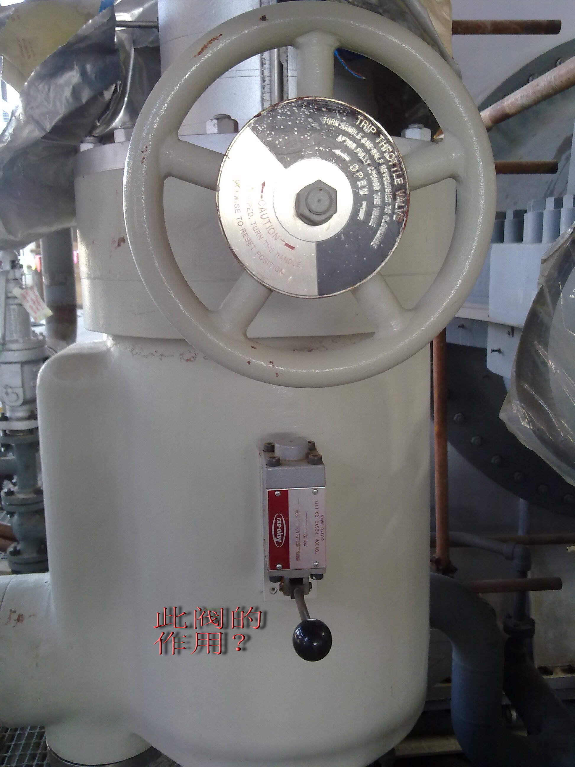 Ask the high -person guidance: The two small valves on the TTV valve of ...