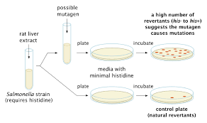 How to interpret interaction in a glmer model in R? - ECHEMI