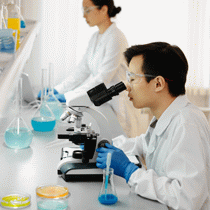 What does TDS mean on a medical prescription? I know it’s three times a ...