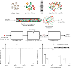 How can we estimate dissociation constant (Kd) of high affinity... - ECHEMI