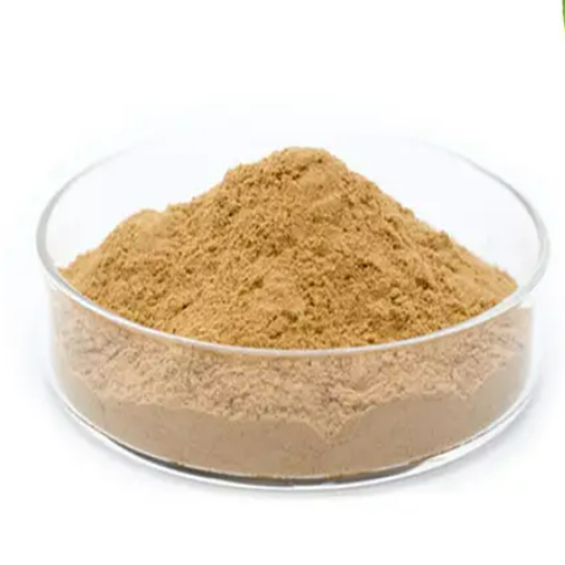 Buy Lemon Balm Powder Yellow brown fine powder SNC | Good Fortune Food ...