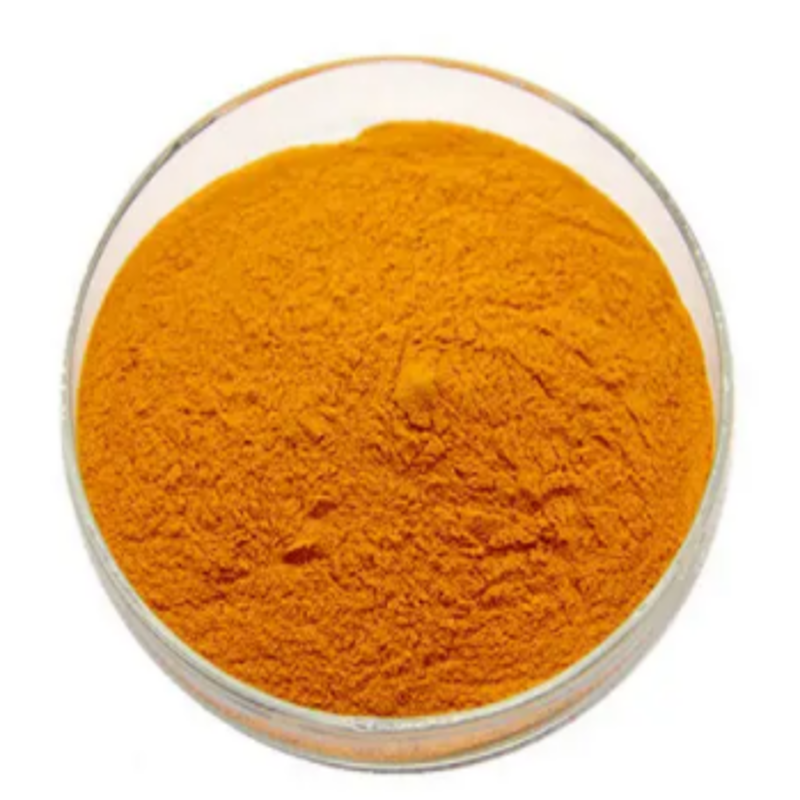 Buy Marigold Flower Extract 20% Orange yellow powder 84776-23-8 Food ...