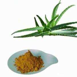 Buy Skin care raw material Aloe vera extract Natural Aloin Emodin 95% ...