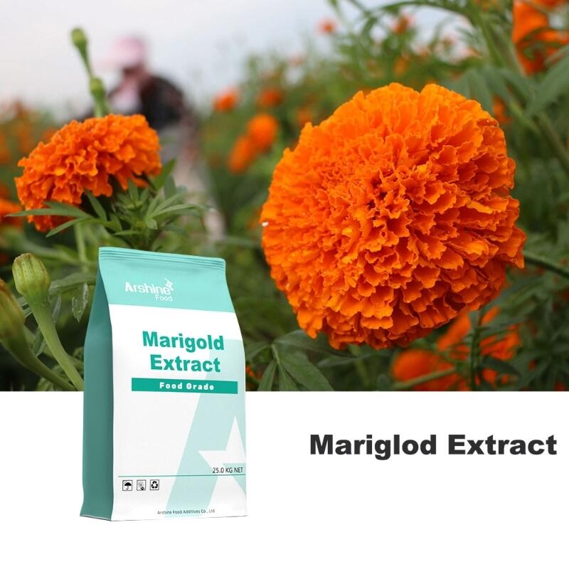 Buy Lutein Powder Marigold Extract Orange yellow powder Food Grade from ...