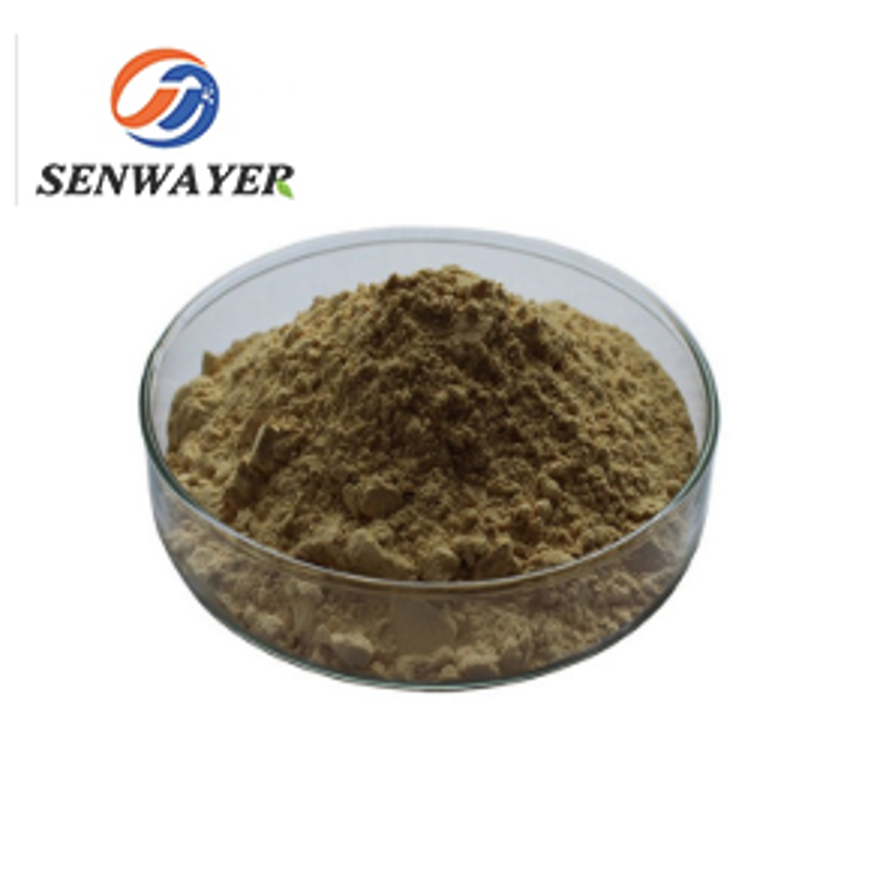 Buy Mucuna Pruriens Levodopa L-DOPA 98% Powder 90064-10-1 Senwayer Top ...