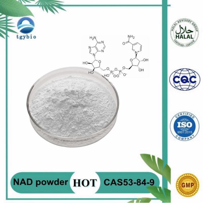 Buy β-Nicotinamide adenine dinucleotide 99% NAD+ with best price ...