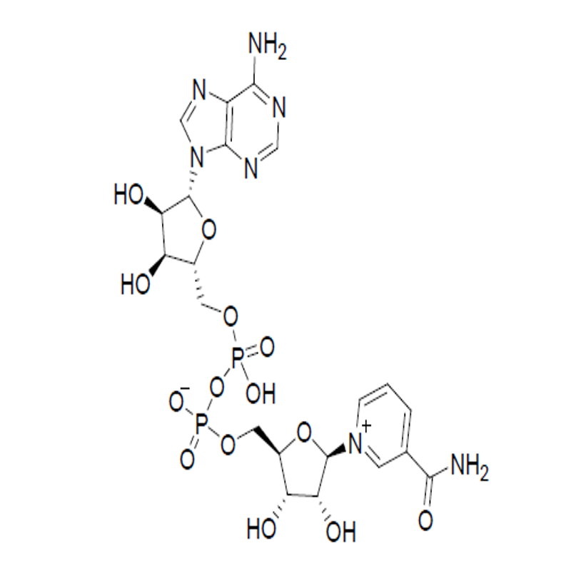 Buy NAD;NAD+;β-Nicotinamide Adenine Dinucleotide 99% White to yellowish powder or crystalline ...