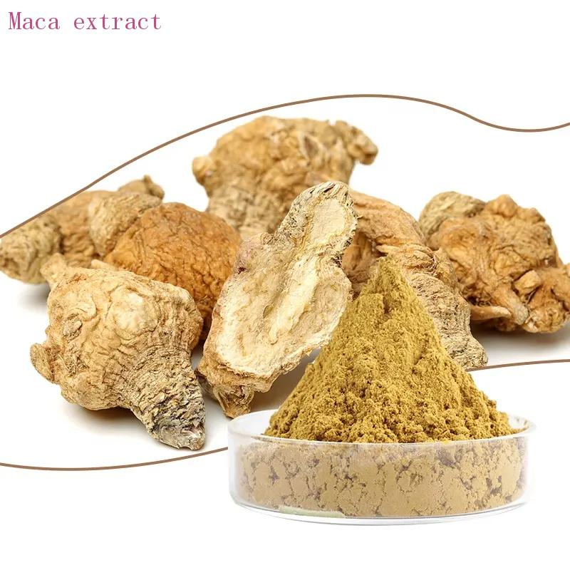 Buy High-quality natural maca root extract powder/maca extract Brown ...