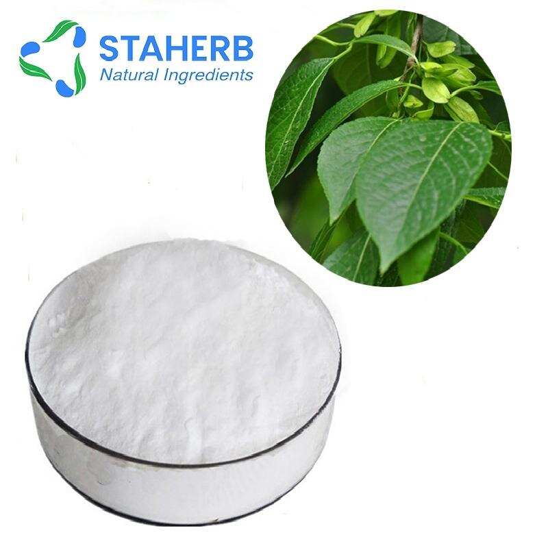 Buy chlorogenic acid, Eucommla Ulmoides leaf extract 98% White fine ...