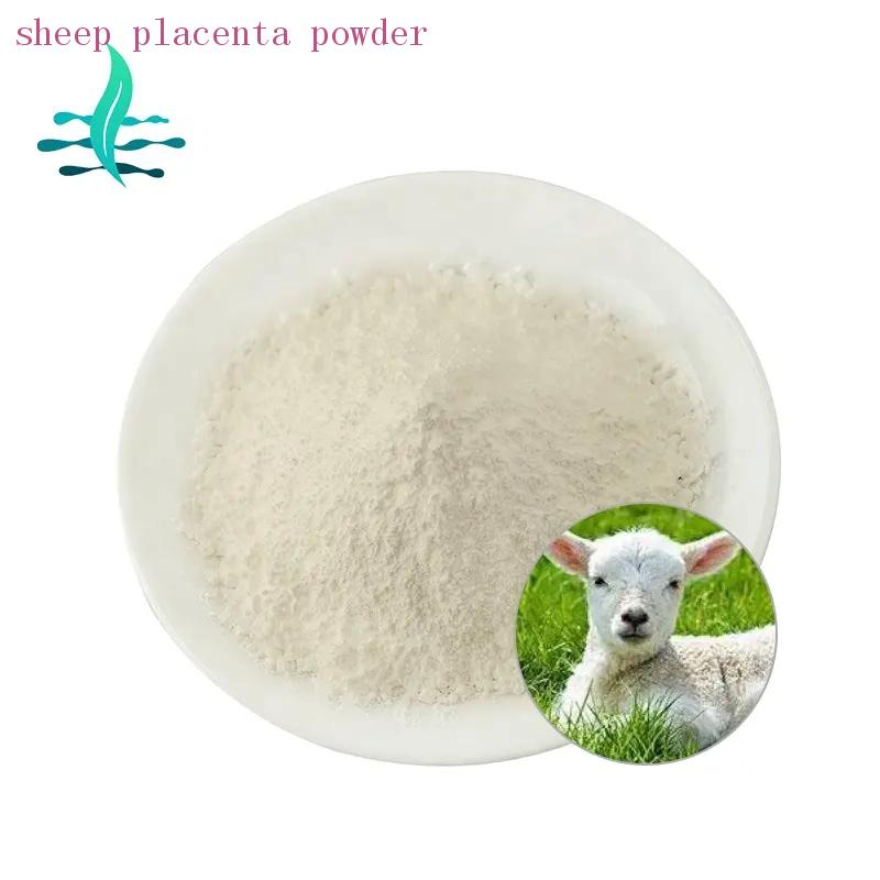 Buy Supply bulk high quality sheep placenta extract sheep placenta ...