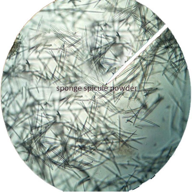 Buy sponge spicule powder 99% Brown to white powder accroding to purity ...