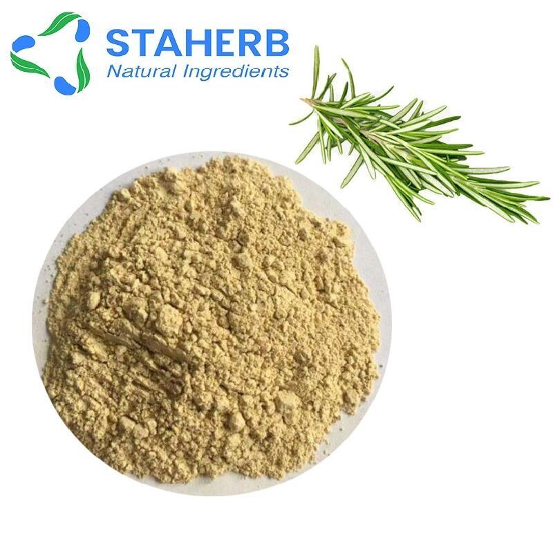 Buy Water Soluble Carnosic Acid 10% 95% Rosemary Leaves Extract Powder ...