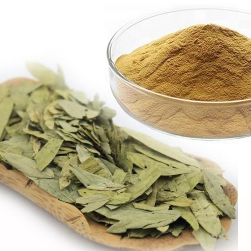 Buy Sanna Leaf Extract Cassia angustifolia, Cassia senna 20% Food Grade ...