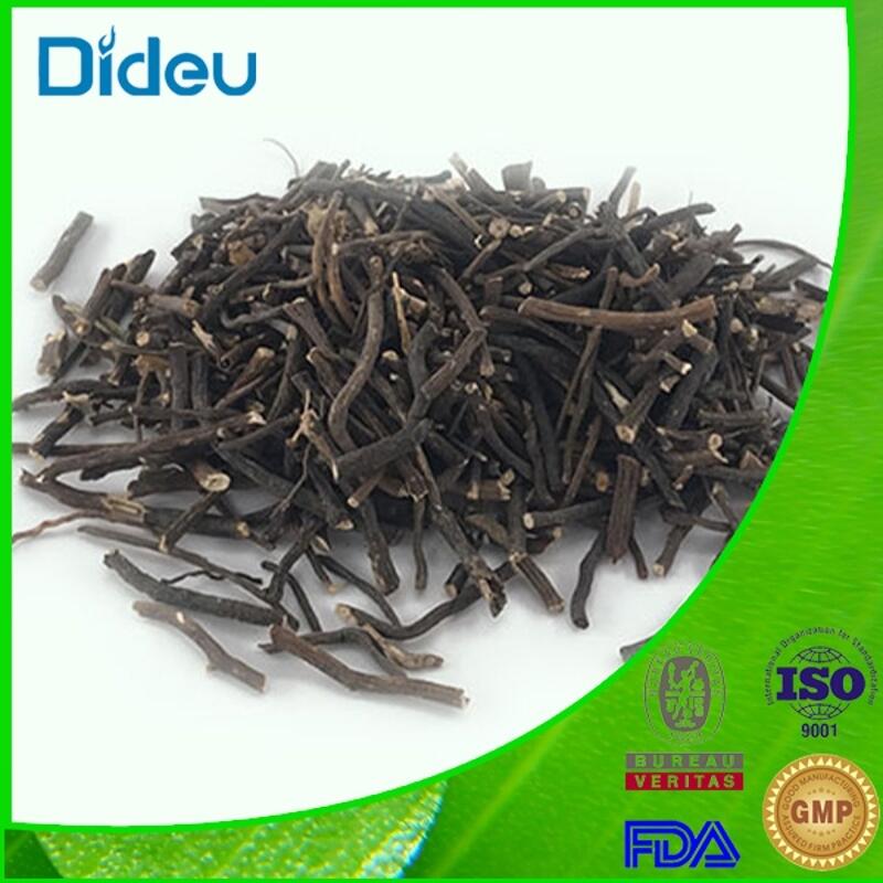 Buy Clematidis Radix et Rhizoma 99.0% Transverse section of root J001 ...