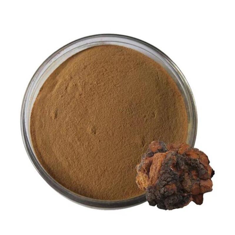 Buy Chaga Extract Inonotus obliquus extract Food Grade from Changsha ...