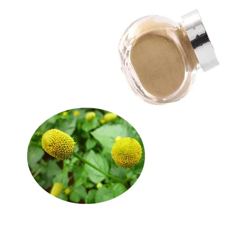 Buy Spilanthes Acmella Flower Extract 99% Yellowish Brown Fine Powder Food Grade from Hanzhong ...