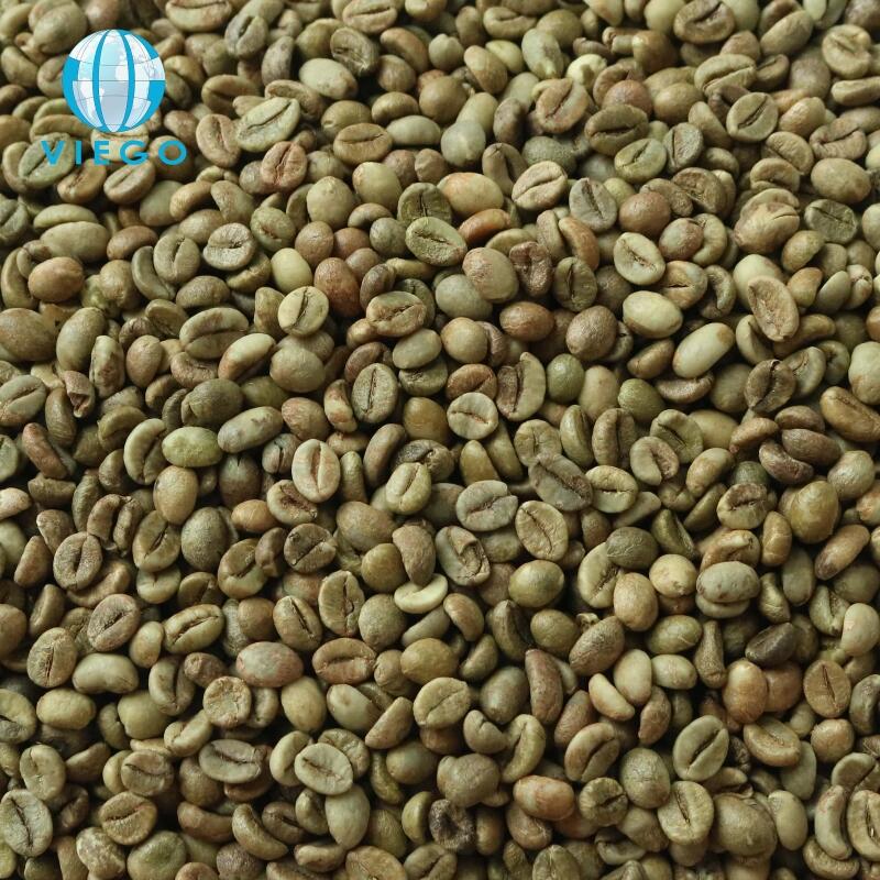 Buy Robusta green beans S16,18, Clean, Grade 1 - Viego Global - +84 90 ...