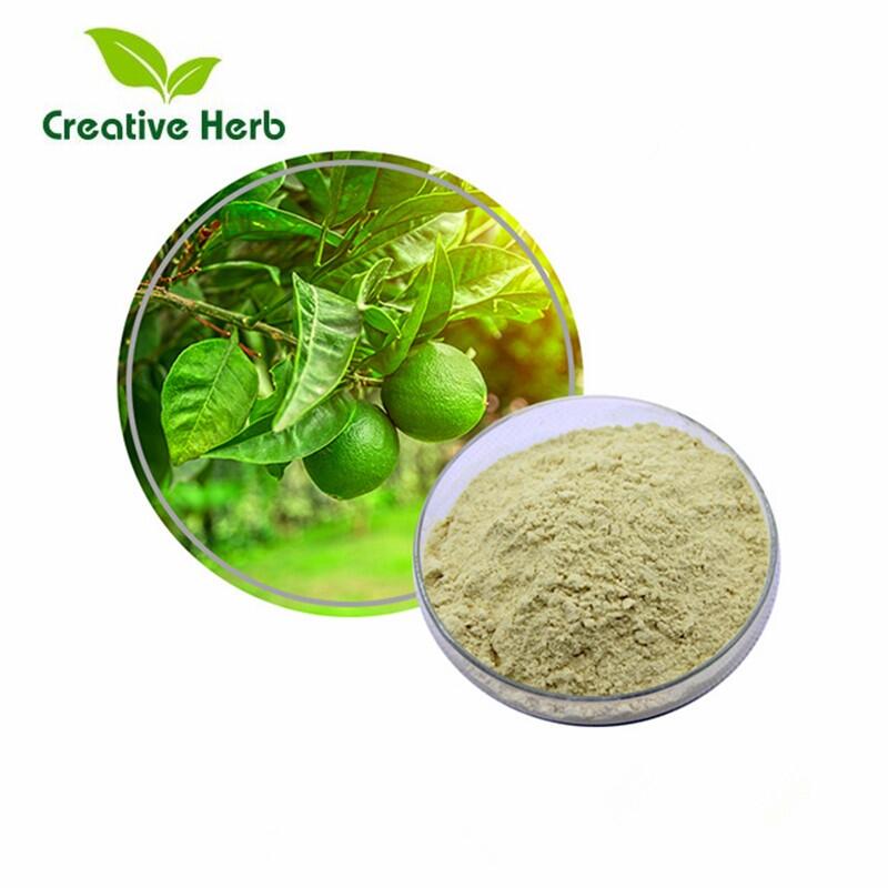 Buy High purity Citrus peel extract Diosmetin 98% powder Pharmacy Grade ...