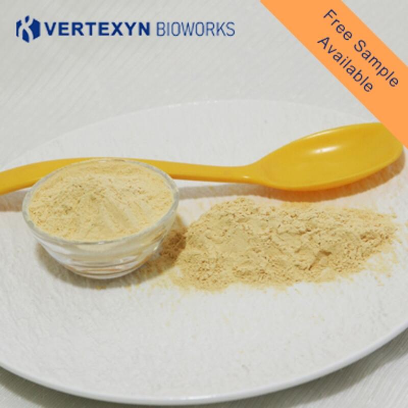 Buy Caffeic Acid 99% Light Yellow Crystallization Powder in Stock ...