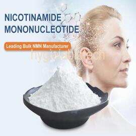 Buy β-NMN bulk powder 1094-61-7 Purity 99.9% food grade Beta Nicotinamide Mononucleotide powder ...