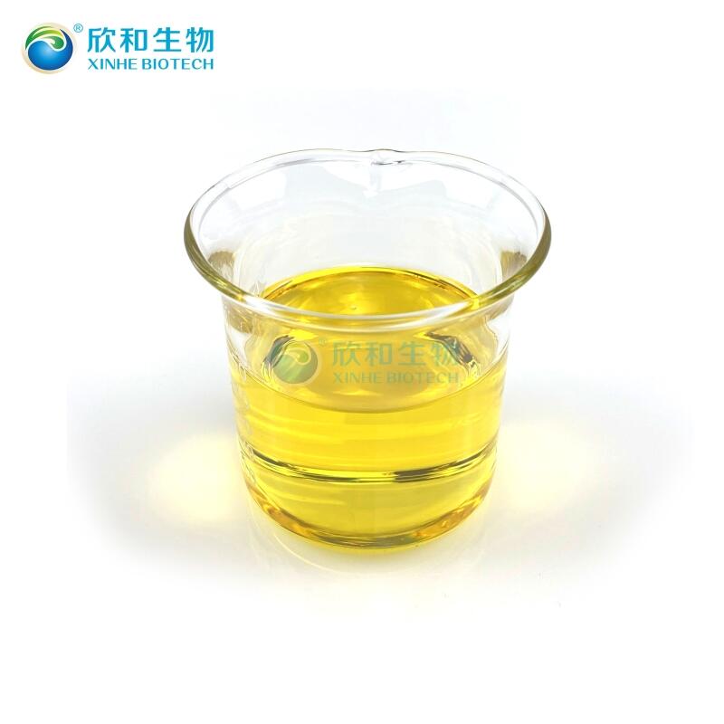 Buy Arachidonic Acid Oil 40% Food Grade from XINHE BIOTECH - DHA algal ...
