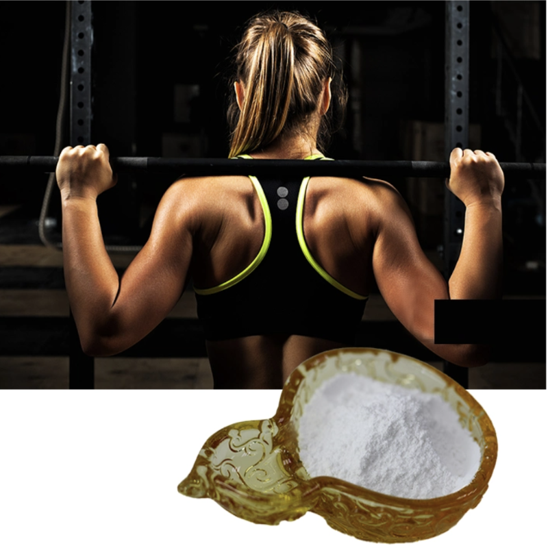 Buy L-Carnitine HCL Base Powder CAS NO. 6645-46-1 L-Carnitine ...