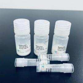 Buy Semaglutide 99% White powder High Quality semaglutide weight loss ...