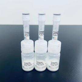 Buy Semaglutide 99% White powder High Quality semaglutide weight loss ...