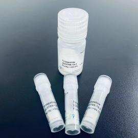 Buy Semaglutide 99% White powder High Quality semaglutide weight loss ...