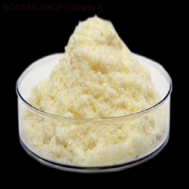 Buy Nicotinamide adenine dinucleotide hydrogen (NADH)-2Na (reduced form ...