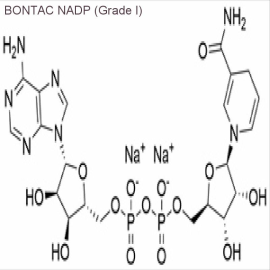 Buy Nicotinamide adenine dinucleotide hydrogen (NADH)-2Na (reduced form ...