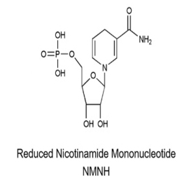 Buy NMNH β-nicotinamide mononucleotide (reduced form) disodium salt ...