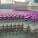 Buy Semaglutide 2mg 5mg 10mg Customize Lyophilized Powder Peptides ...