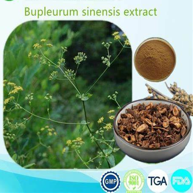 Buy Bupleurum extract, Bupleurum Root Extract Food Grade from SHANHAI ...