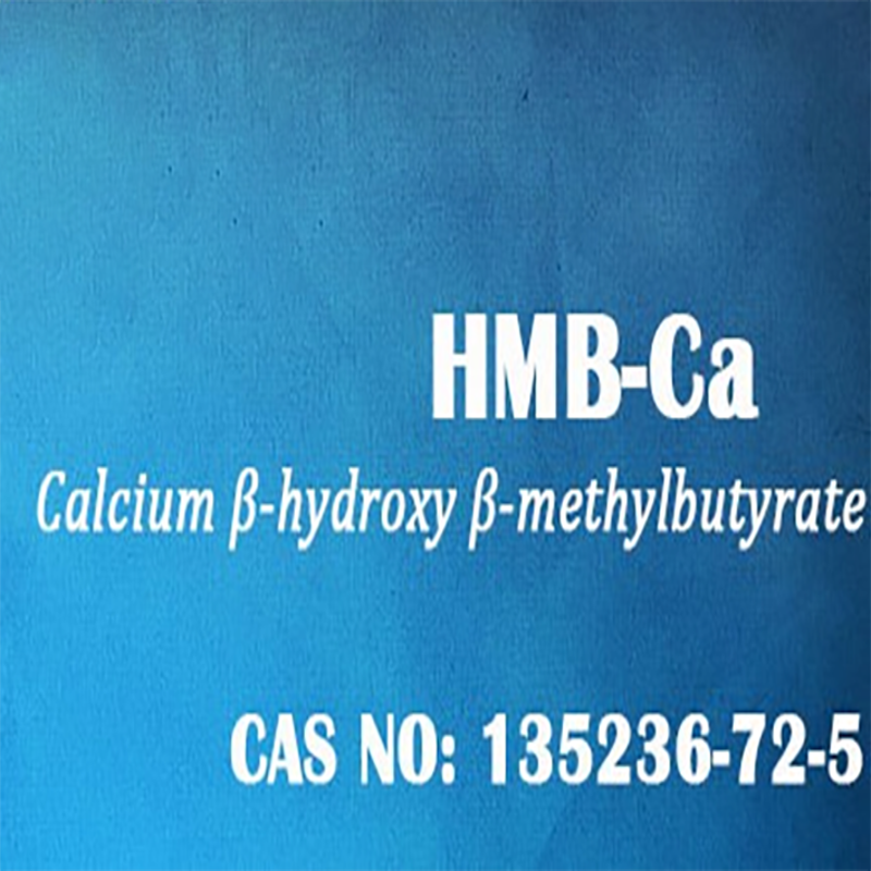Buy Calcium Hydroxymethylbutyrate, HMB Ca, CAS NO: 135236-72-5 Food ...