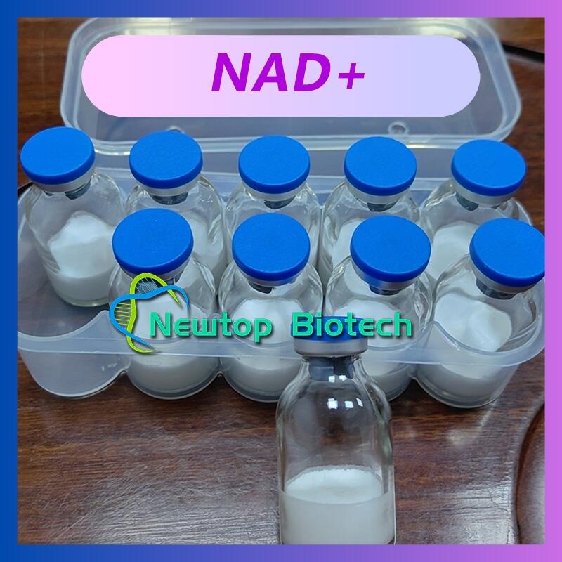Buy NAD+ Nicotinamide Adenine Dinucleotide Lyophilized Powder CAS 53-84 ...