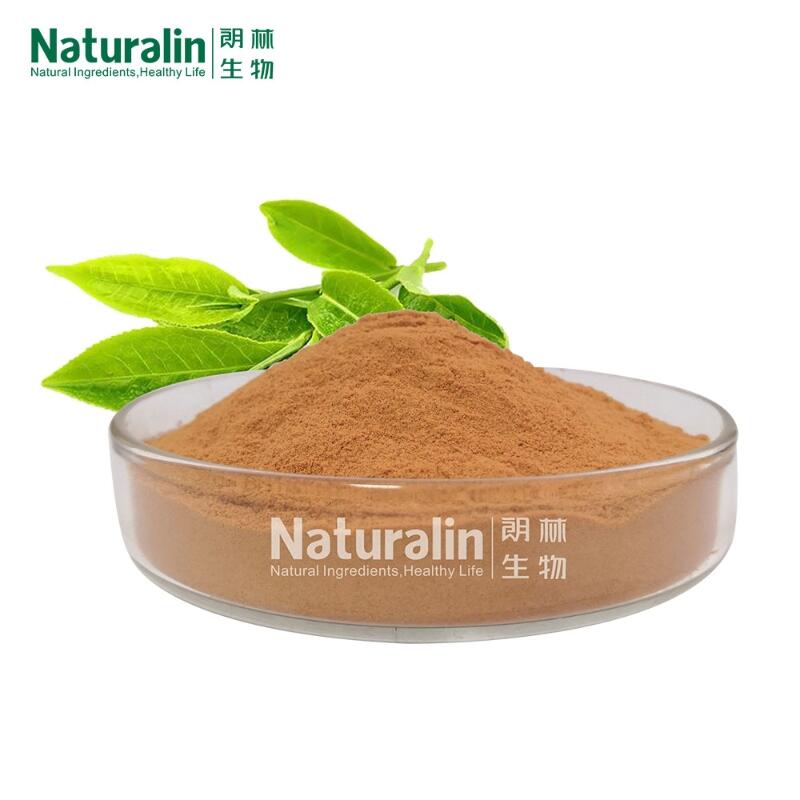 Buy Factory Direct Sale Naturalin Extract Camellia Sinensis (L.) Kuntze ...